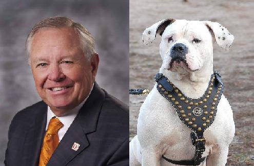 The Reuben Press: Dogs That Look Like Omaha Mayors