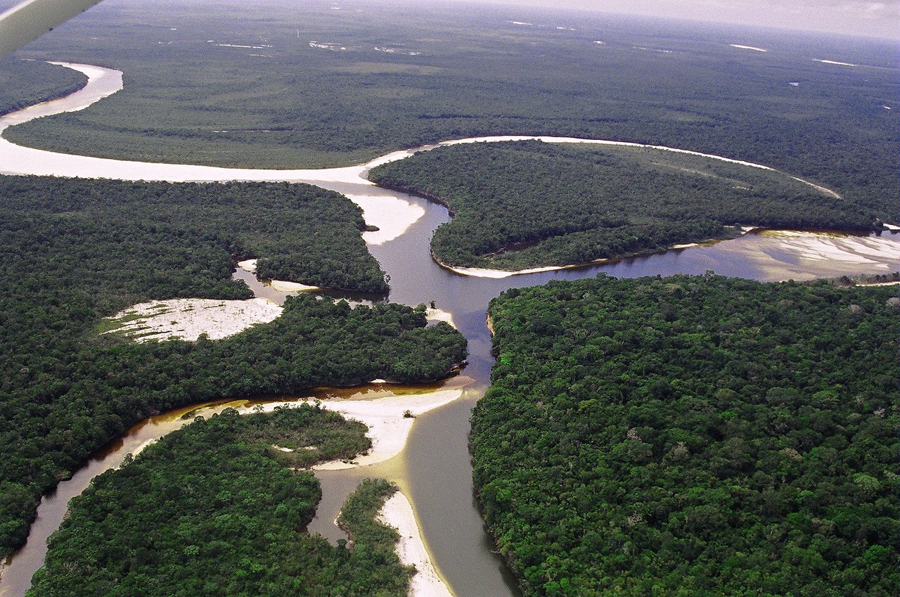 Pesquisadores da UnB descobrem que rio Amazonas tem mais de 9 milhões ...
