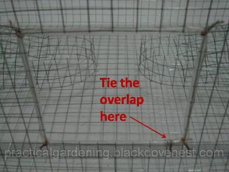 Practical Gardening: Homemade Bird Trap - Making the Access Hole