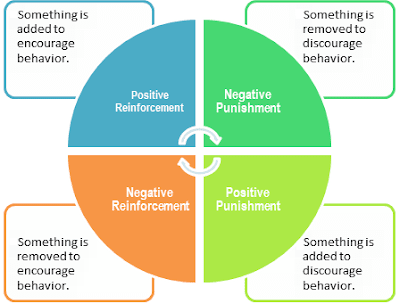 Understanding & Handling Dog Aggression | Australian Dog Lover