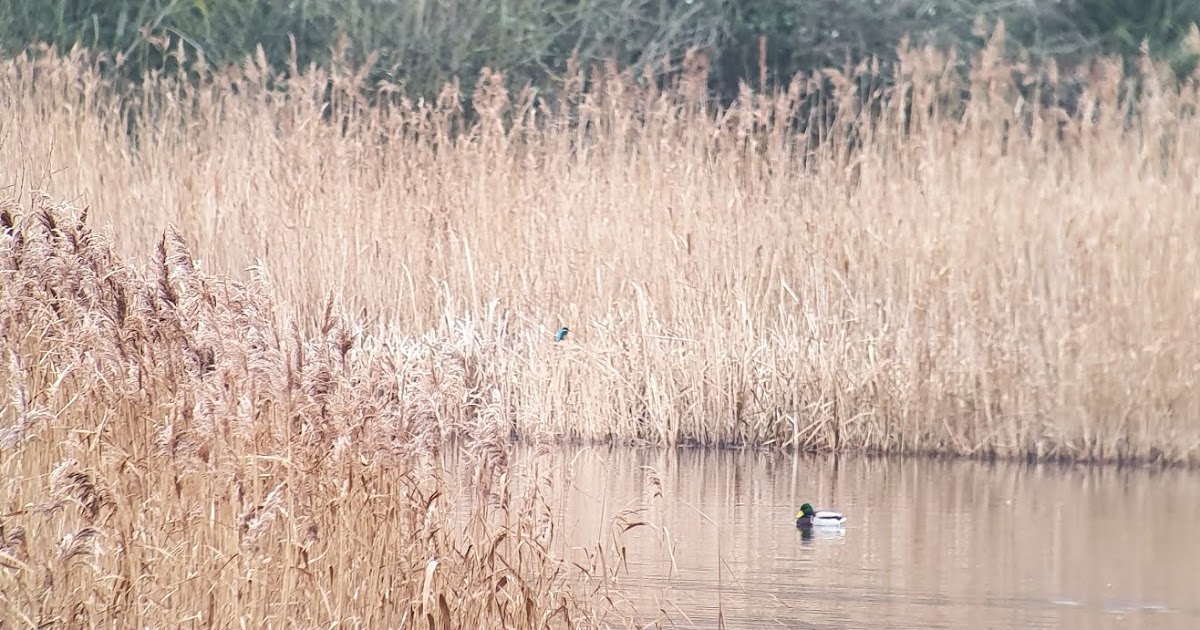 Winter Wonders at Wicken Fen