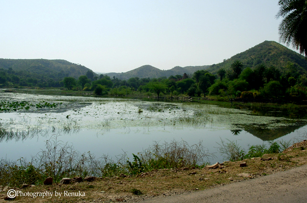 Nagda – Rajasthan’s Rural Gem - Voyager For Life