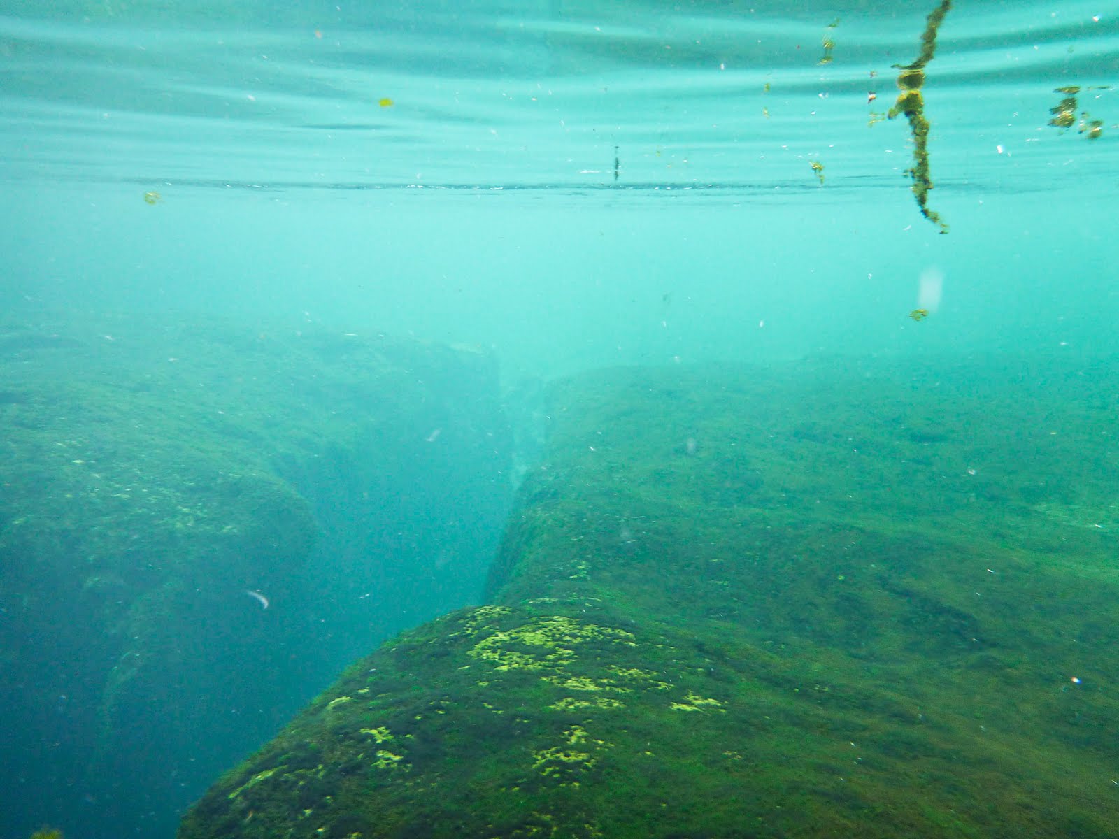 Old Florida: Peering into the Abyss