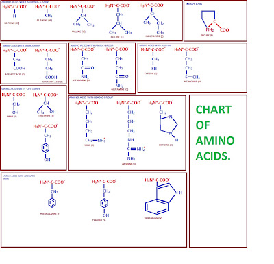 Shelford Tutorials: classification of amino acids