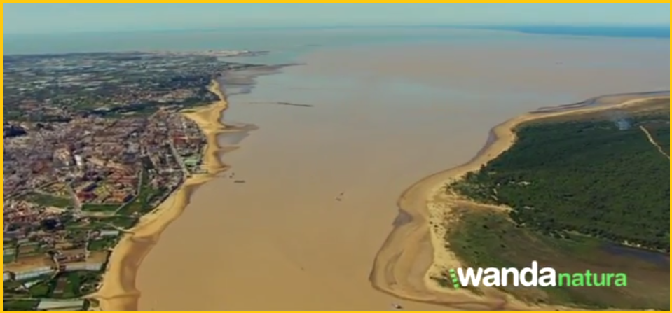 Blog de Geografía del profesor Juan Martín Martín: Desembocadura del ...