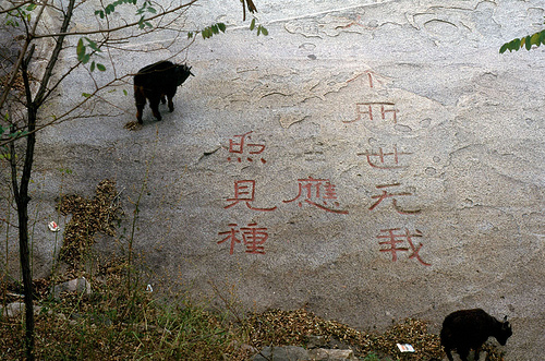 Jayarava's Raves: Sutras in Stone for the End of the Dharma