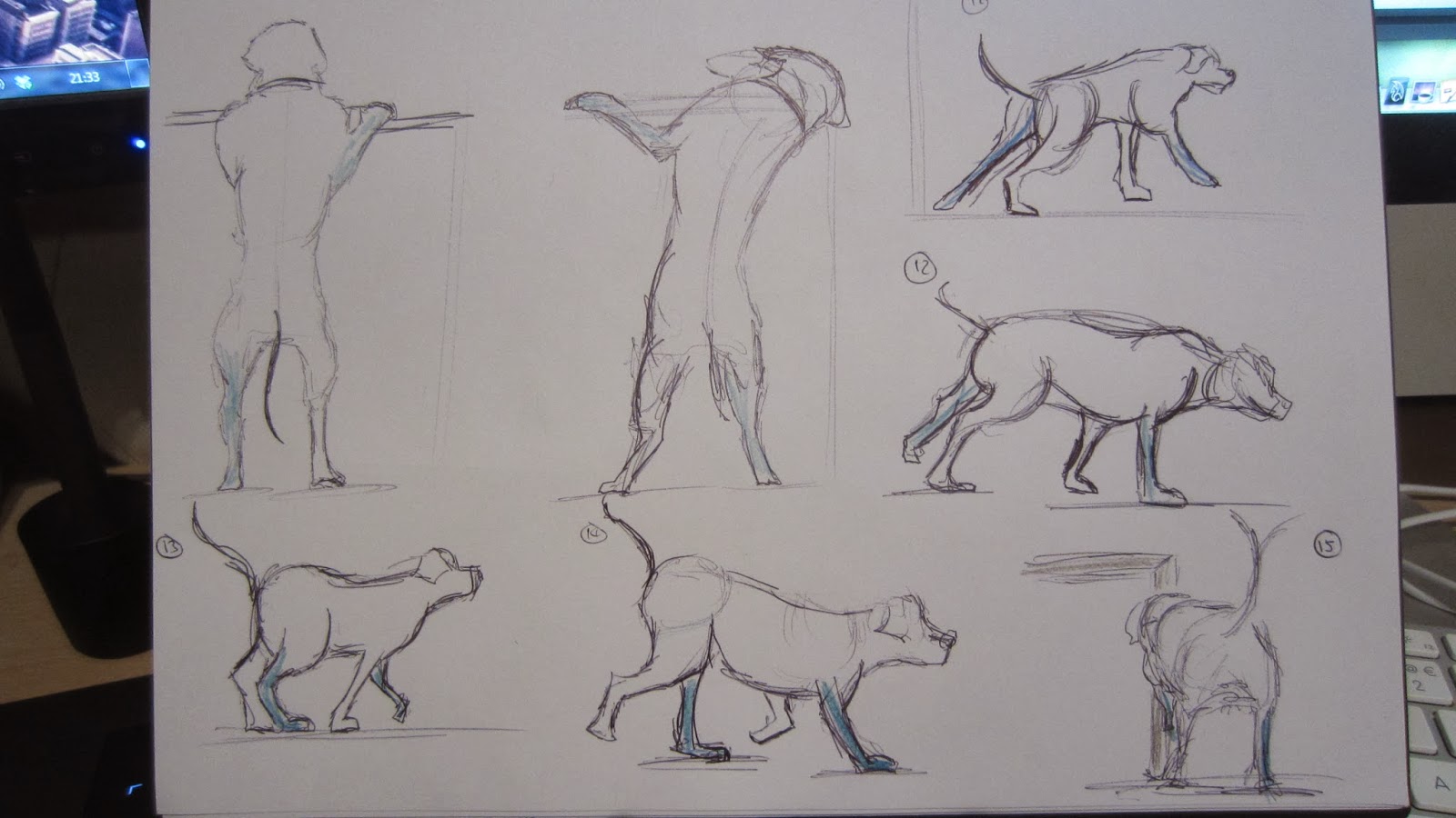 Andymotion Blog: Storyboard and more references - Dog Animation Part 2