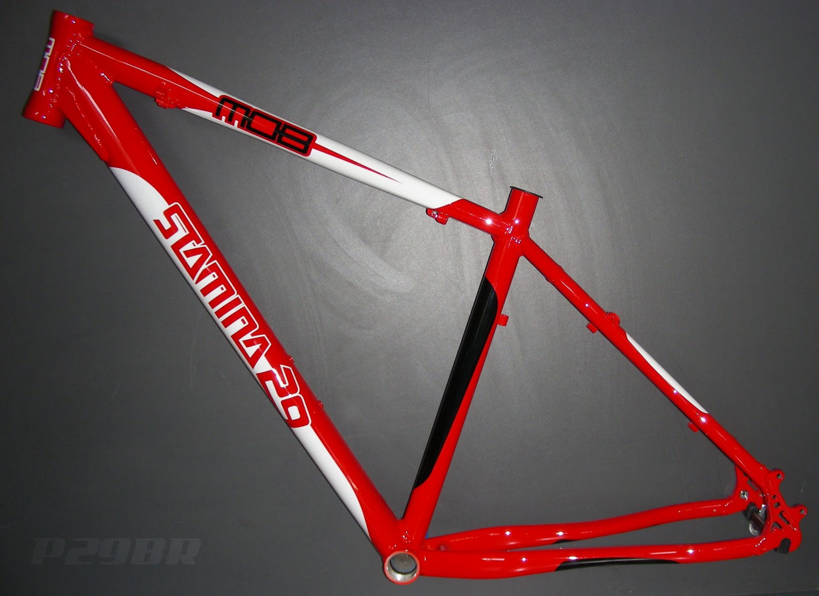 P29BR - Projeto 29 Brasil: P29BR 29ER PREVIEW / MOB Stamina 29