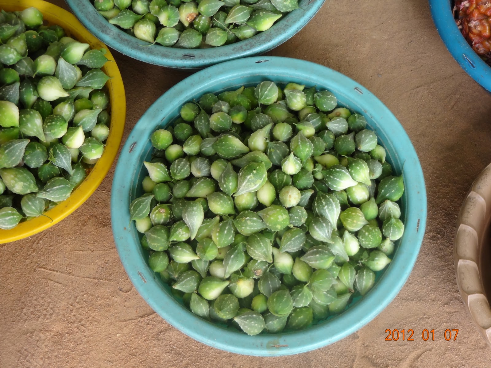 Food Trends: The latest: Mozambique Local Fare