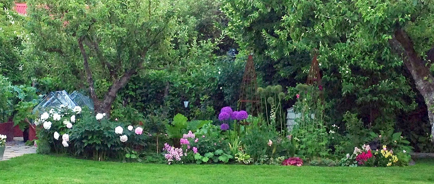 Trädgårdstid: Rabatterat