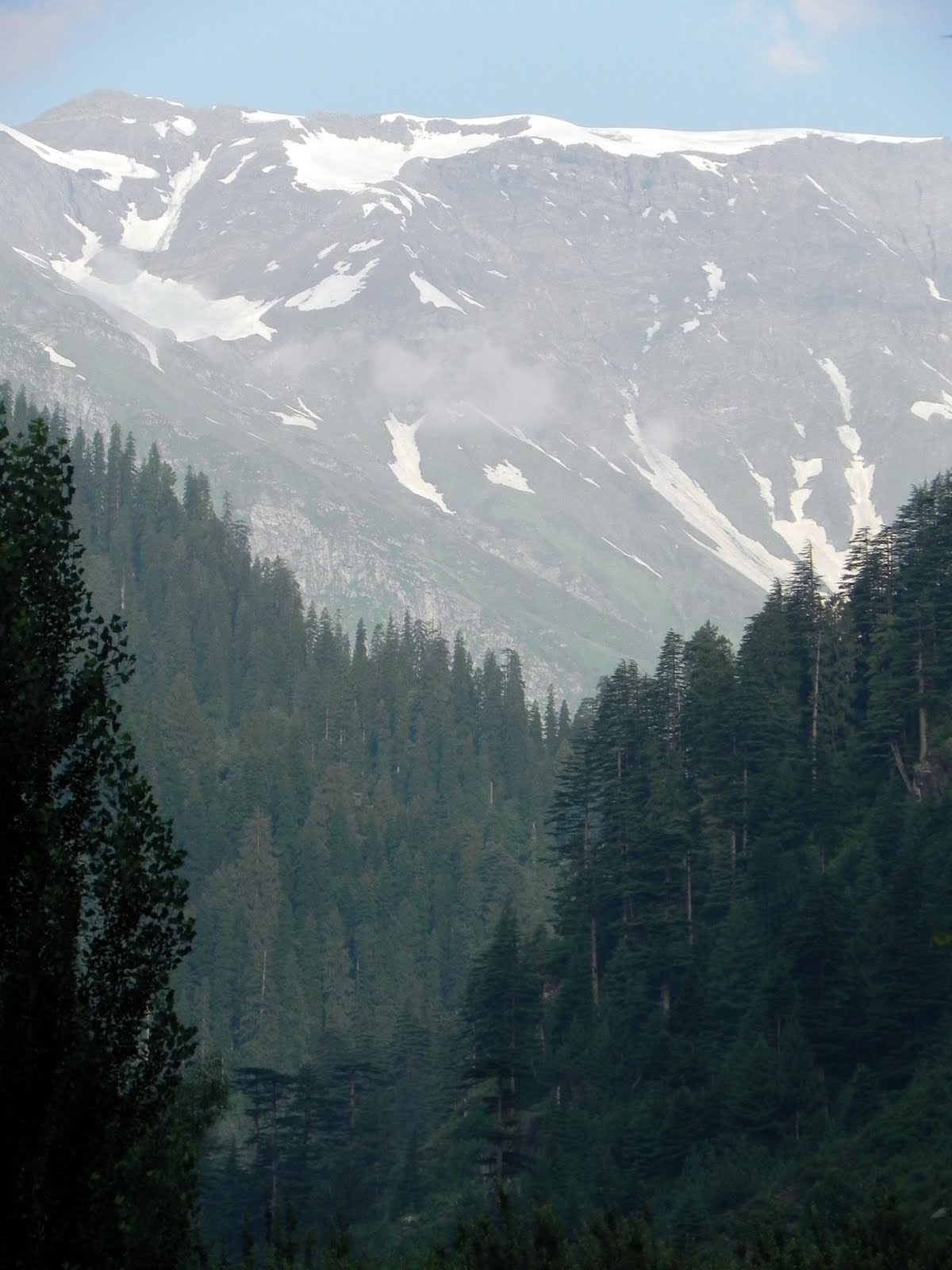 My Travels, My Life: The Aalu Paratha route to Himalayas
