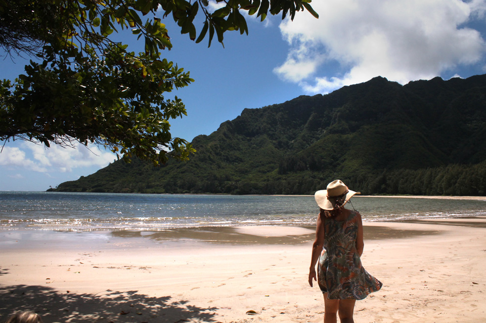 The 99 Cent Chef: Windward Shore & Keneke Grill - Hawai'i Travelogue Video