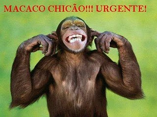 MACACO CHICÃO URGENTE!!! - ADRIANO FURTADO
