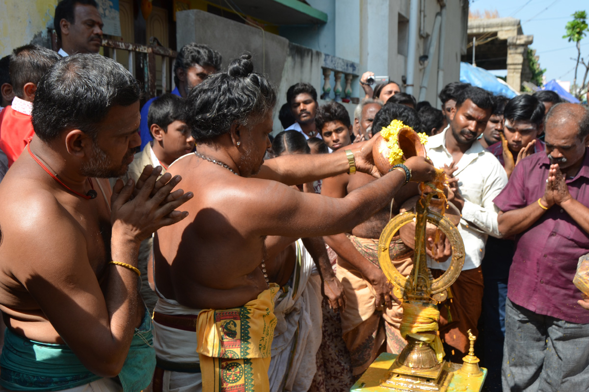 Uthrayana puniyakalam 2016: Thamari Kulam - ARUNACHALA GRACE