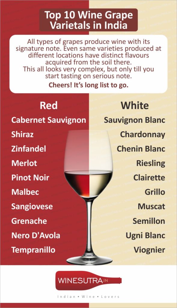 List Of Red Wine Grapes 2025 www.alhudapk