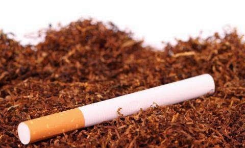 Memahami TAR dan Nikotin - LINTANGBATAS MAGZ