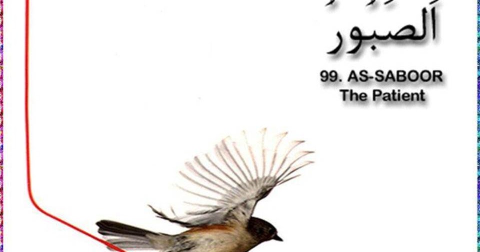 Taufik Hidayah: As-Sabur