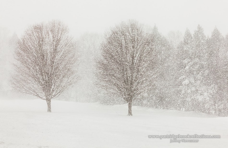 Getting it Right in the Digital Camera : Photographing Falling Snow