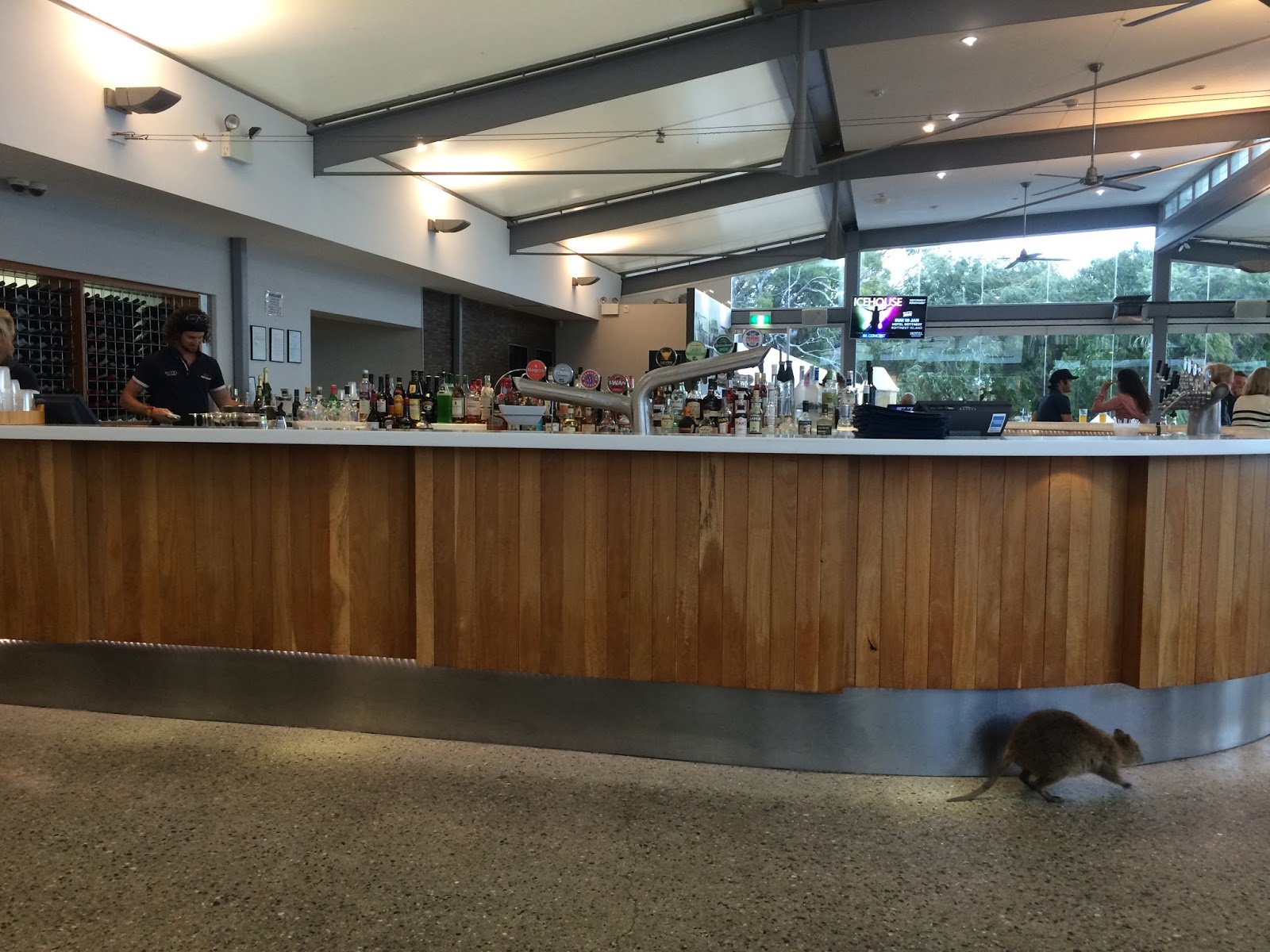 Hotel Rottnest Bar & Bistro - Rottnest Island, Australia - Travel is my ...