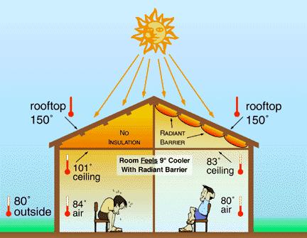 Science Class (6A): Vocabulary #4: Temperature and Heat