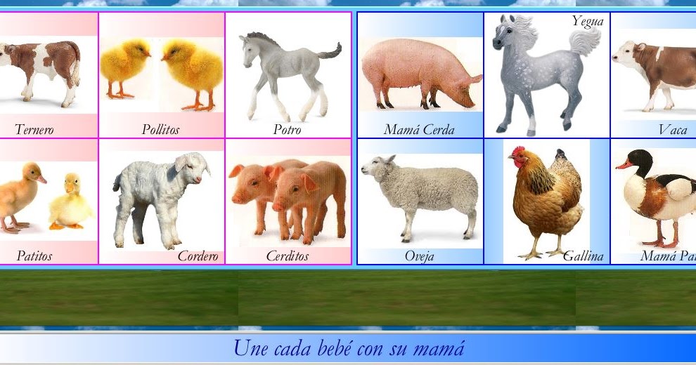 Little Sapiens: ACTIVIDADES INTERACTIVAS EN JCLIC