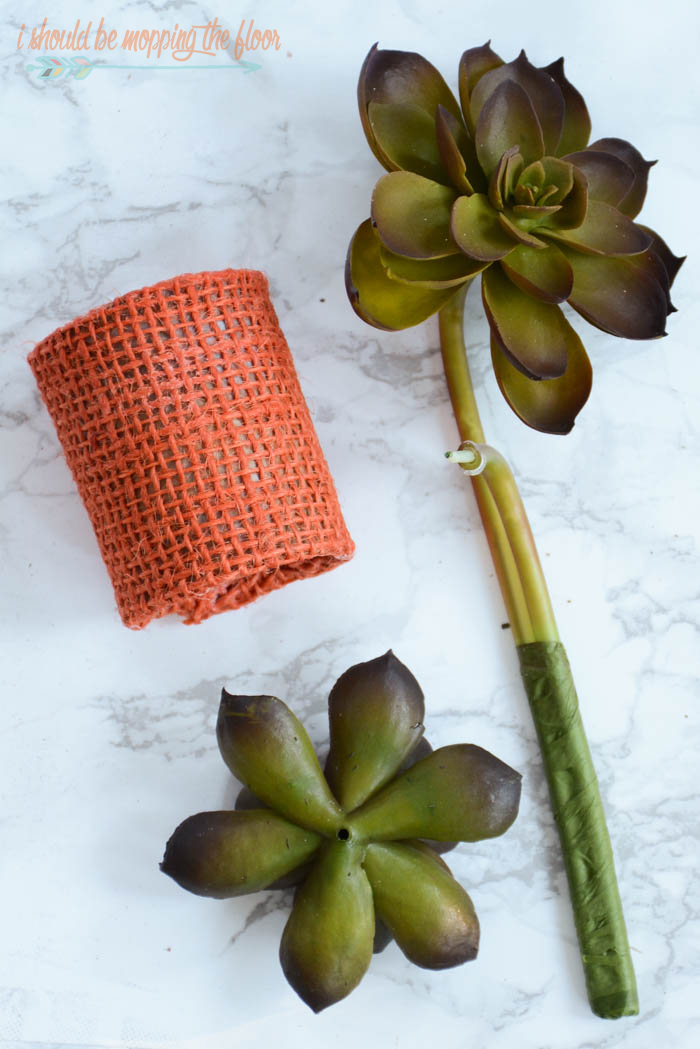 DIY Succulent Napkin Rings | i should be mopping the floor