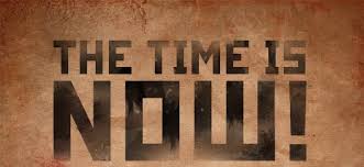 Thoughts from Frank and Fern: The Time is Now