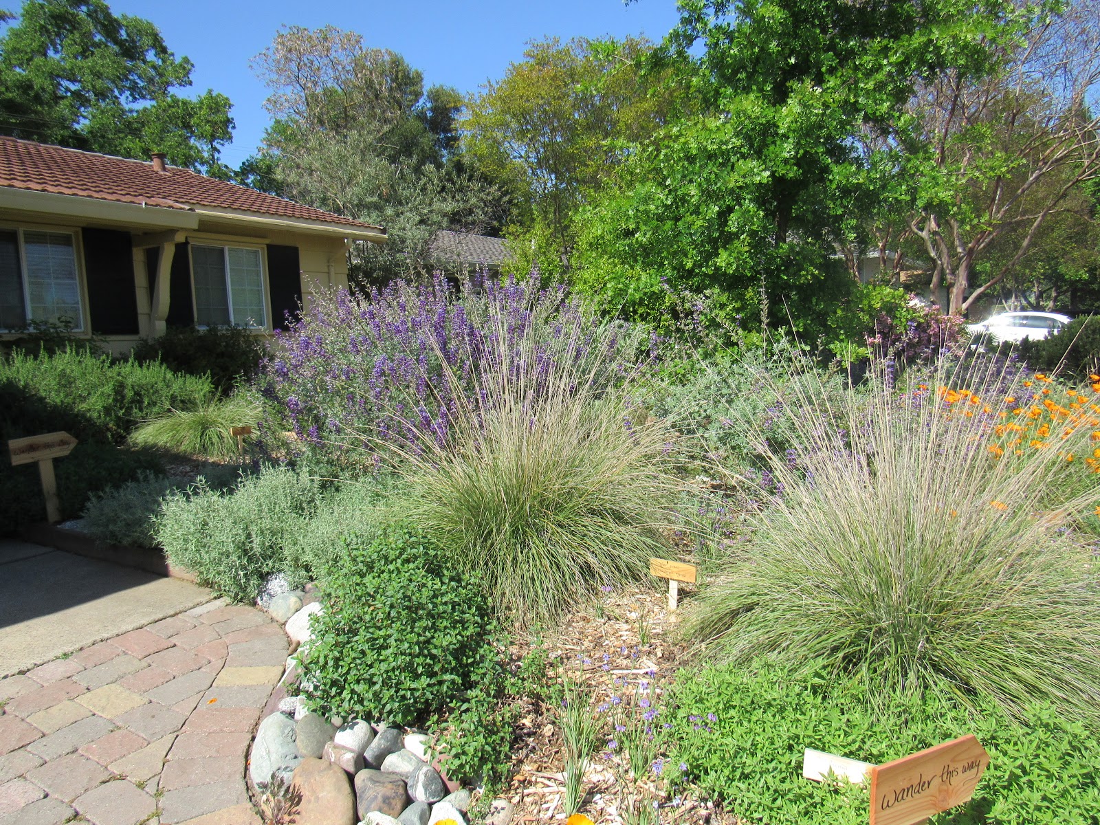 Designing a Native Garden, Part III: Visit Local Gardens