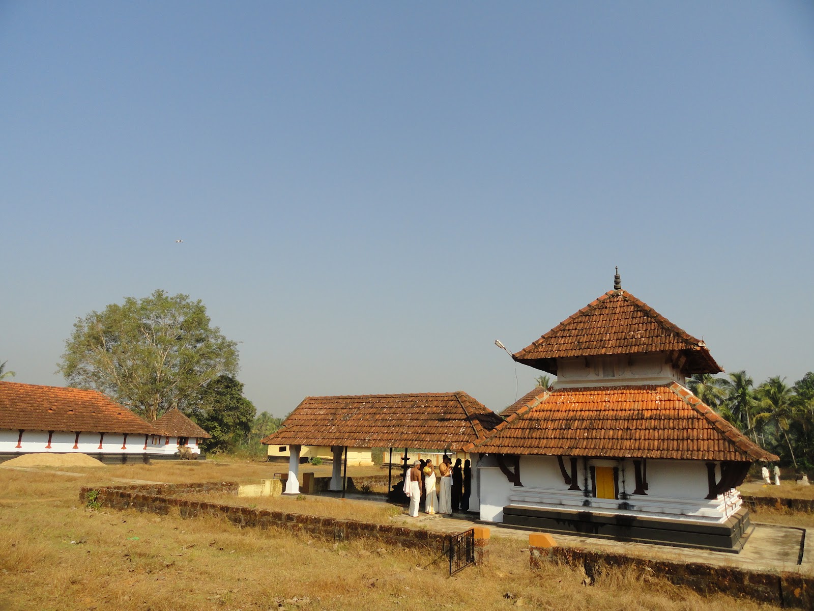 Thrithala - JungleKey.in Image