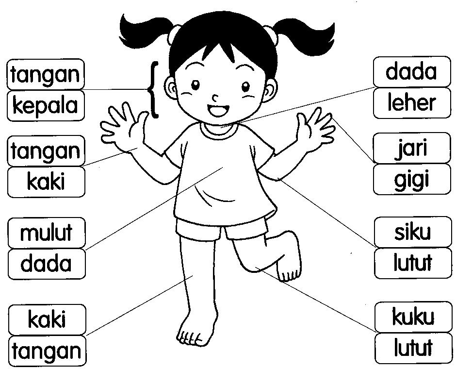 Lembaran Kerja Anggota Badan Prasekolah Anggota Badan Online | My XXX ...