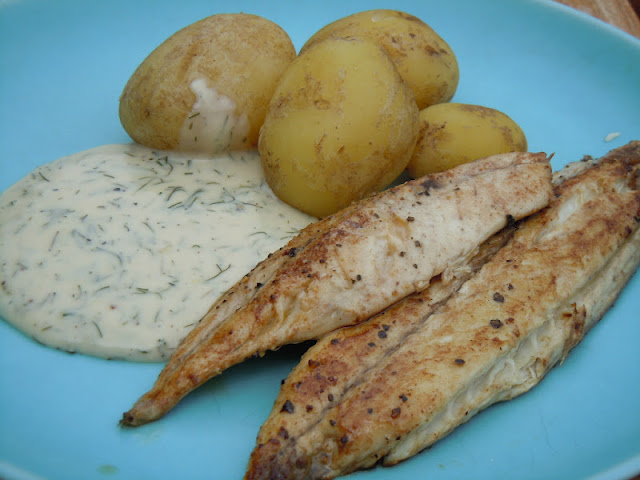 Stekt egenfångad makrill med färskpotatis och dillsås