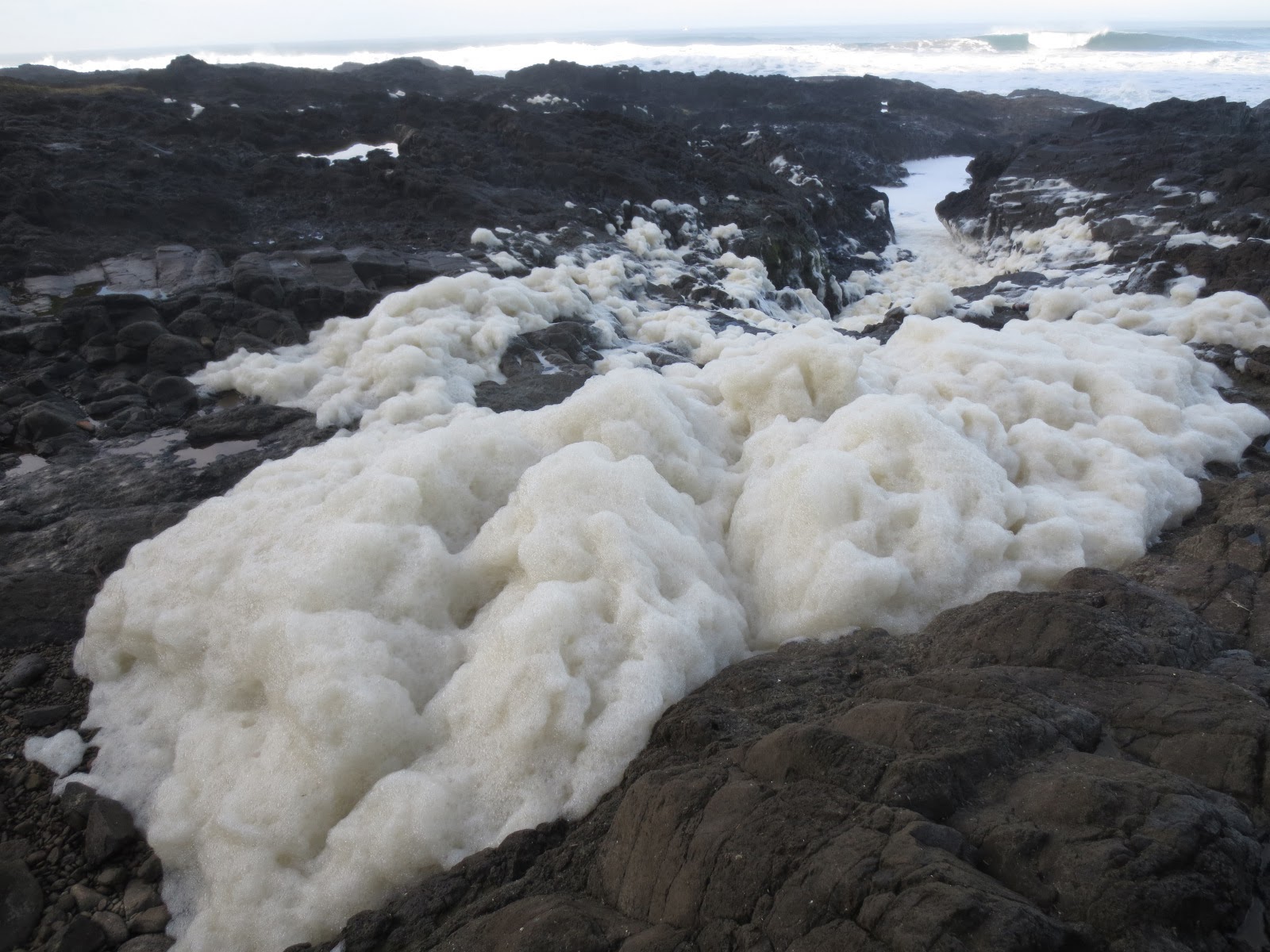CollageMama's Hearty Breakfast Blog: Sea foam and fish cakes