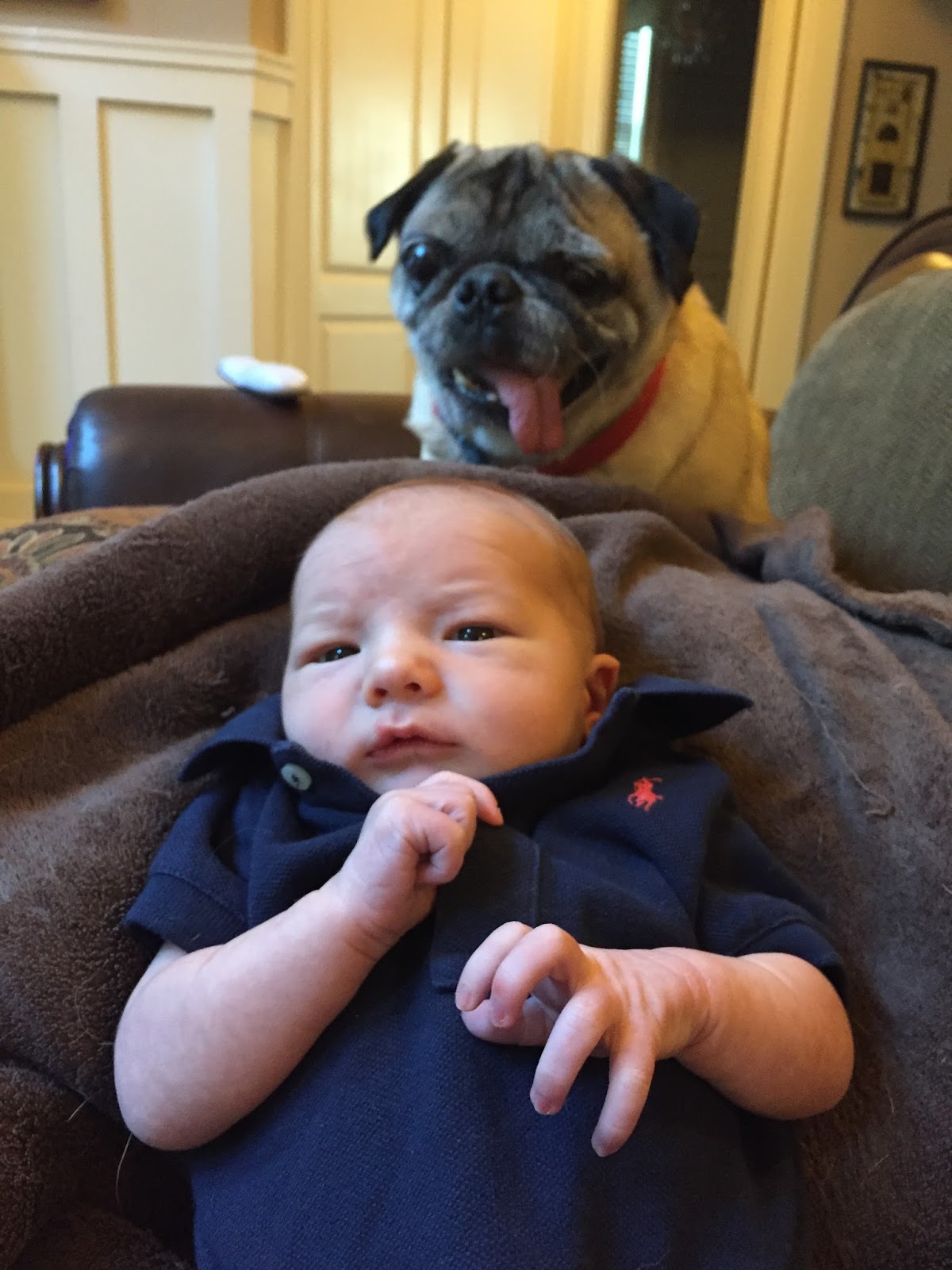 Life in the Barbie Dream House: Walker's Birth Story