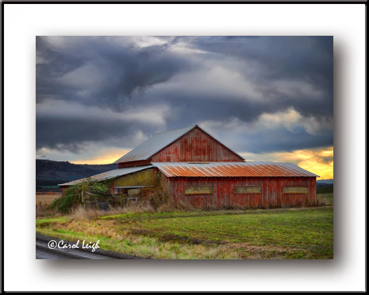 Carol Leigh: Barn-O-Rama