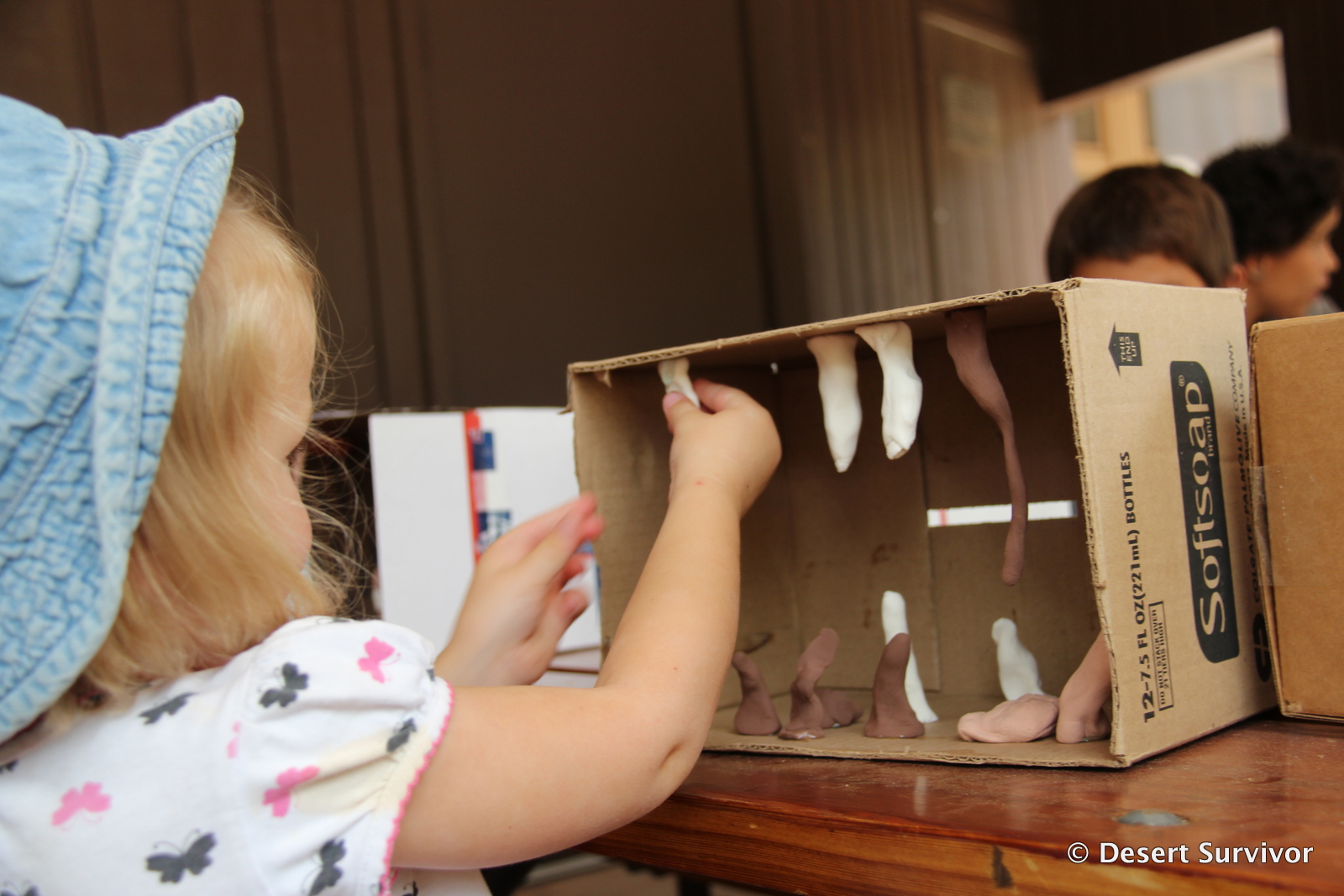 Desert Survivor: Make Your Own Cave