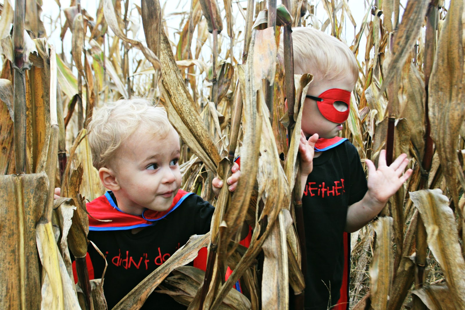 Two Bears Farm and the Three Cubs: The Pumpkin Patch - Jeter Farm ...