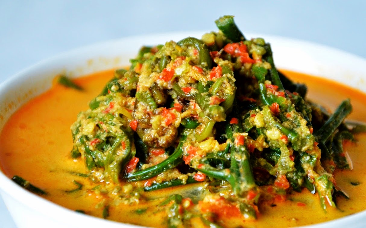 Resep dan Cara Membuat Gulai Pakis Khas Padang + Kandungan Nutrisi ...