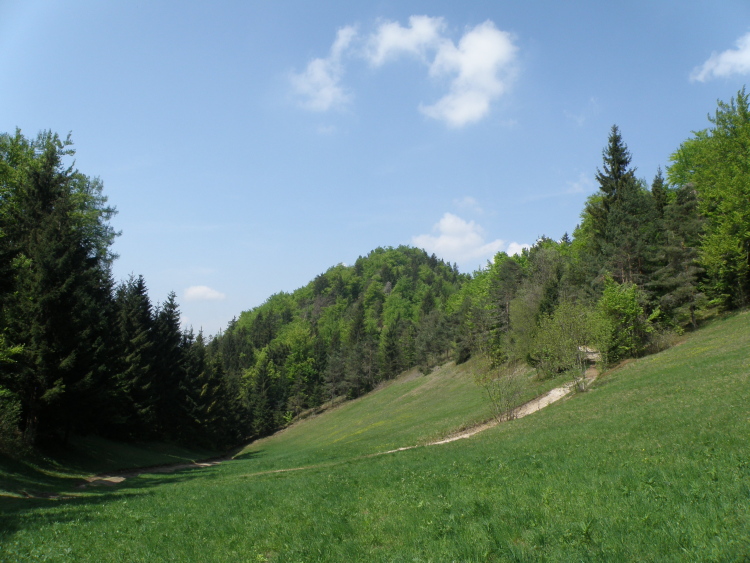 Aljaž Kožuh: Izbrani utrinki narave Šmohorskega hribovja: Epizoda I – hribi