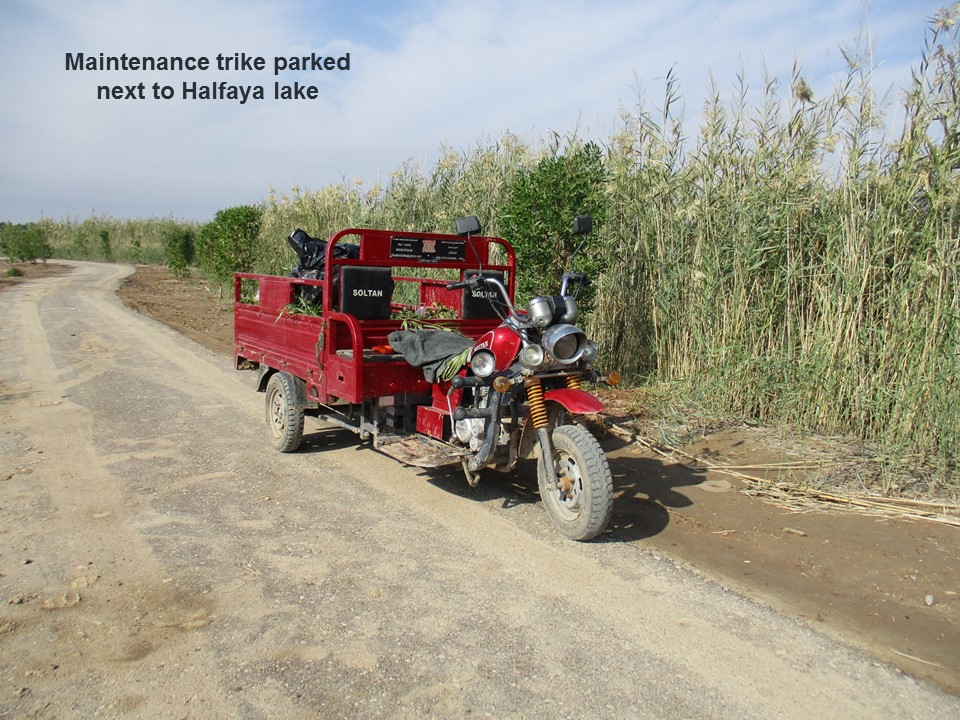 Go with Henry: Living on an oilfield base camp