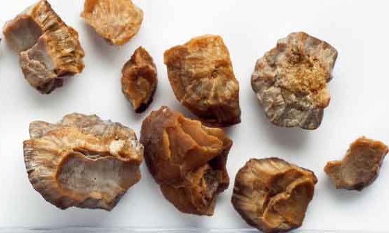 Una scoperta che stravolge secoli di pensiero sulla natura e la ...