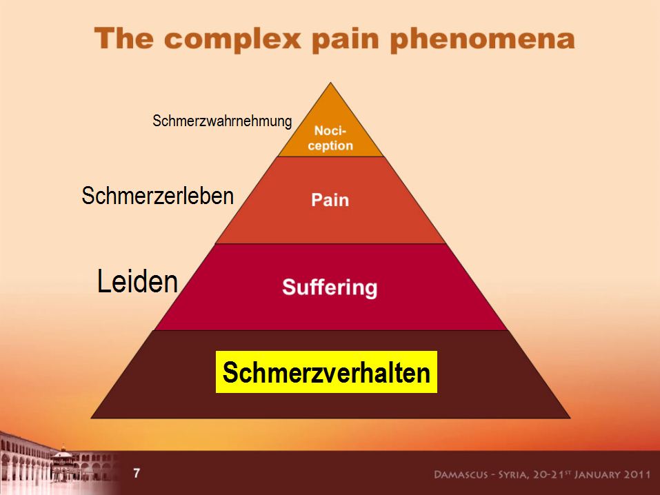 Rheumatologe: Verschiedene Schmerzarten in der Rheumatologie
