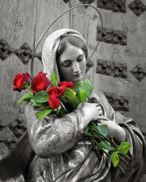 De Cristo Revestidos : Flores para Nossa Senhora