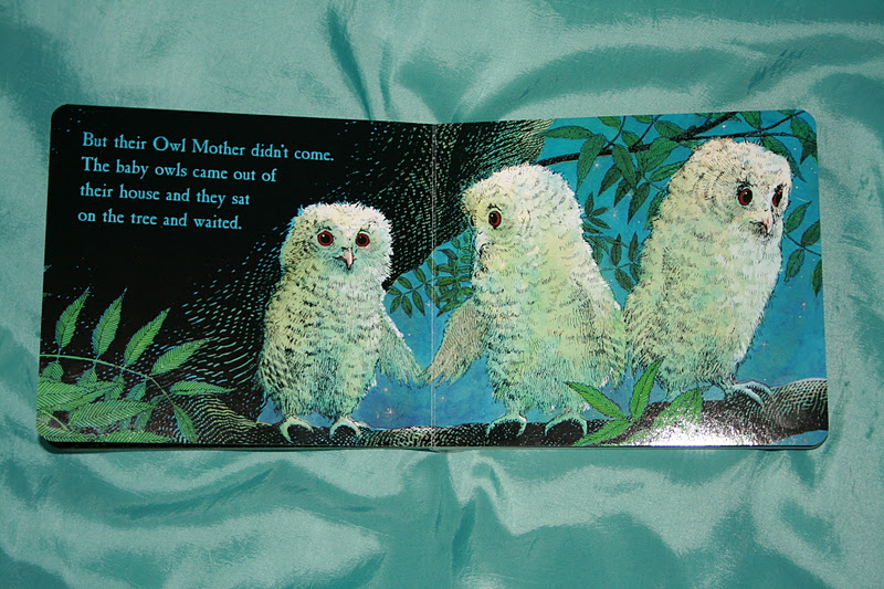 The good life mum: A book for bedtime Owl babies