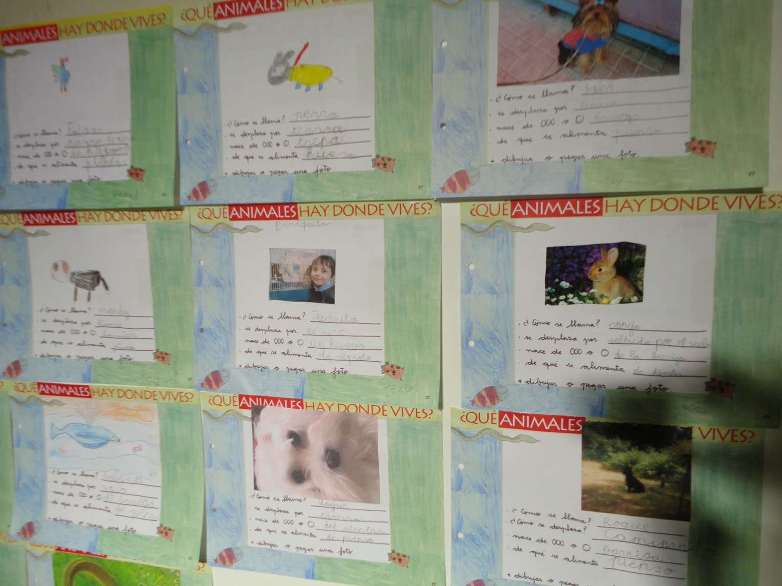Infantil 2014: LOS ANIMALES