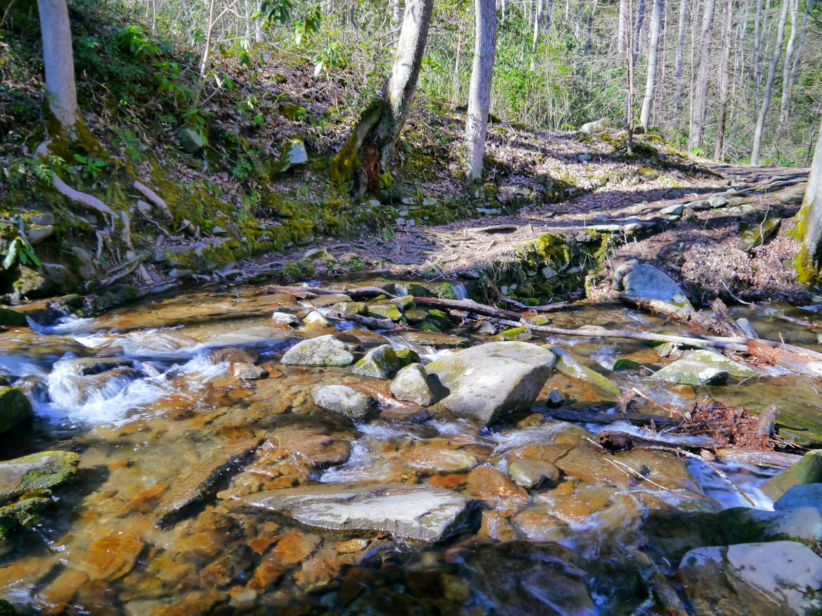 American Travel Journal: Little River Trail - Great Smoky Mountains ...