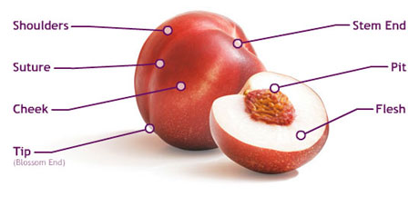 Cowboys and Chuckwagon Cooking : "The TENNESSEE TIPSY TEXAS PEACH"