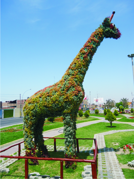 David Poma Huanca: El arte topiario, como alternativa del turismo en Tacna