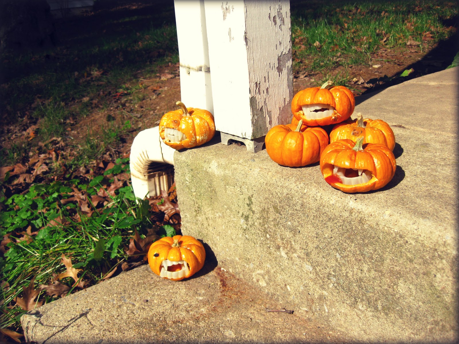 nova by tess ~ the busy life of one crazy swede: an army of angry pumpkins