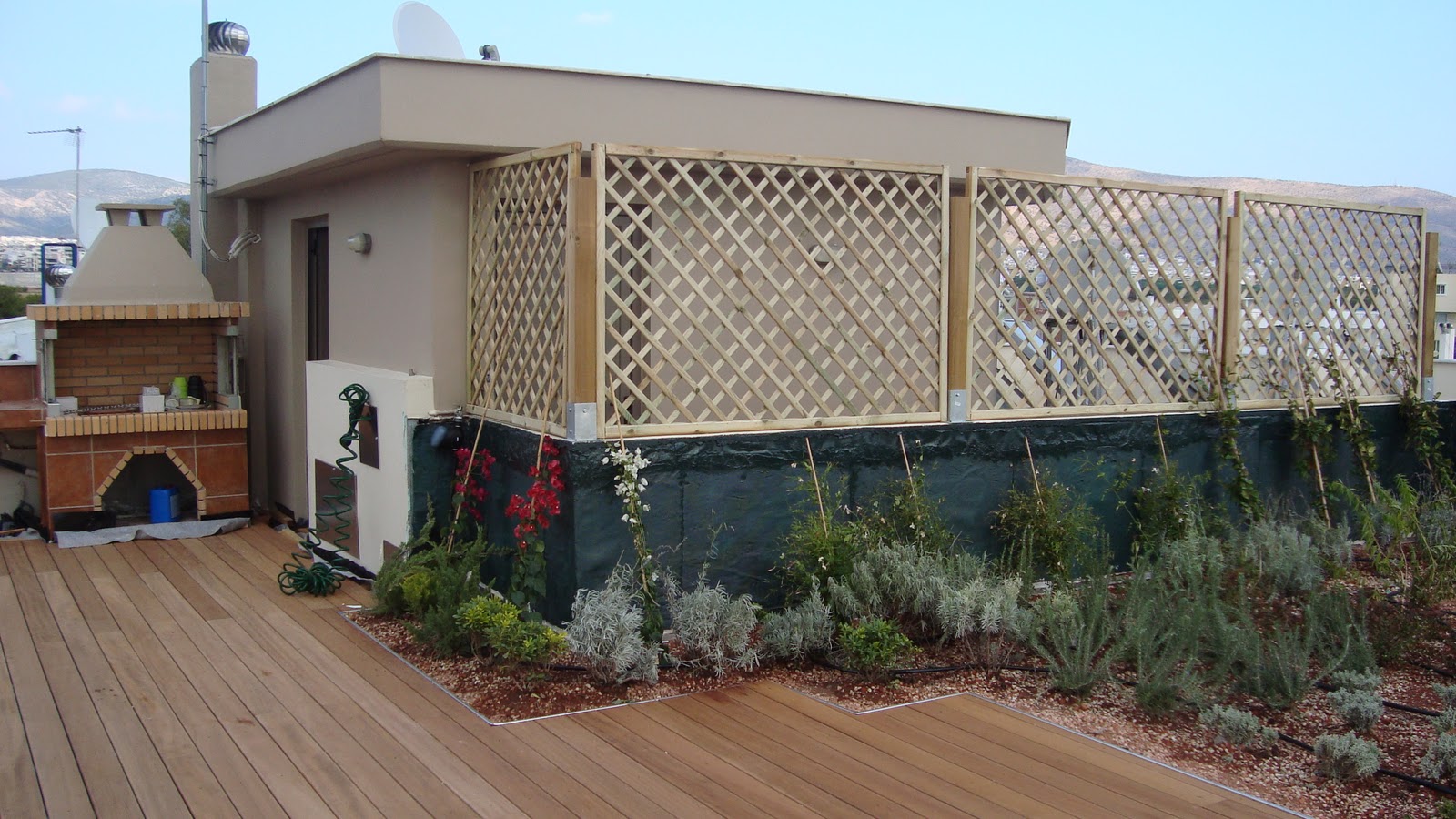 ΤΑΡΑΤΣΟΚΗΠΟΣ...Ο ΚΗΠΟΣ ΤΩΝ ΠΟΛΕΩΝ: Ένας κήπος με λαχανικά και αρωματικά ...