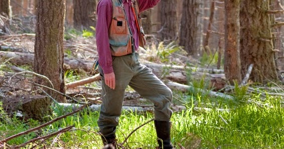 HL Supply Blog: What Do Foresters Do?